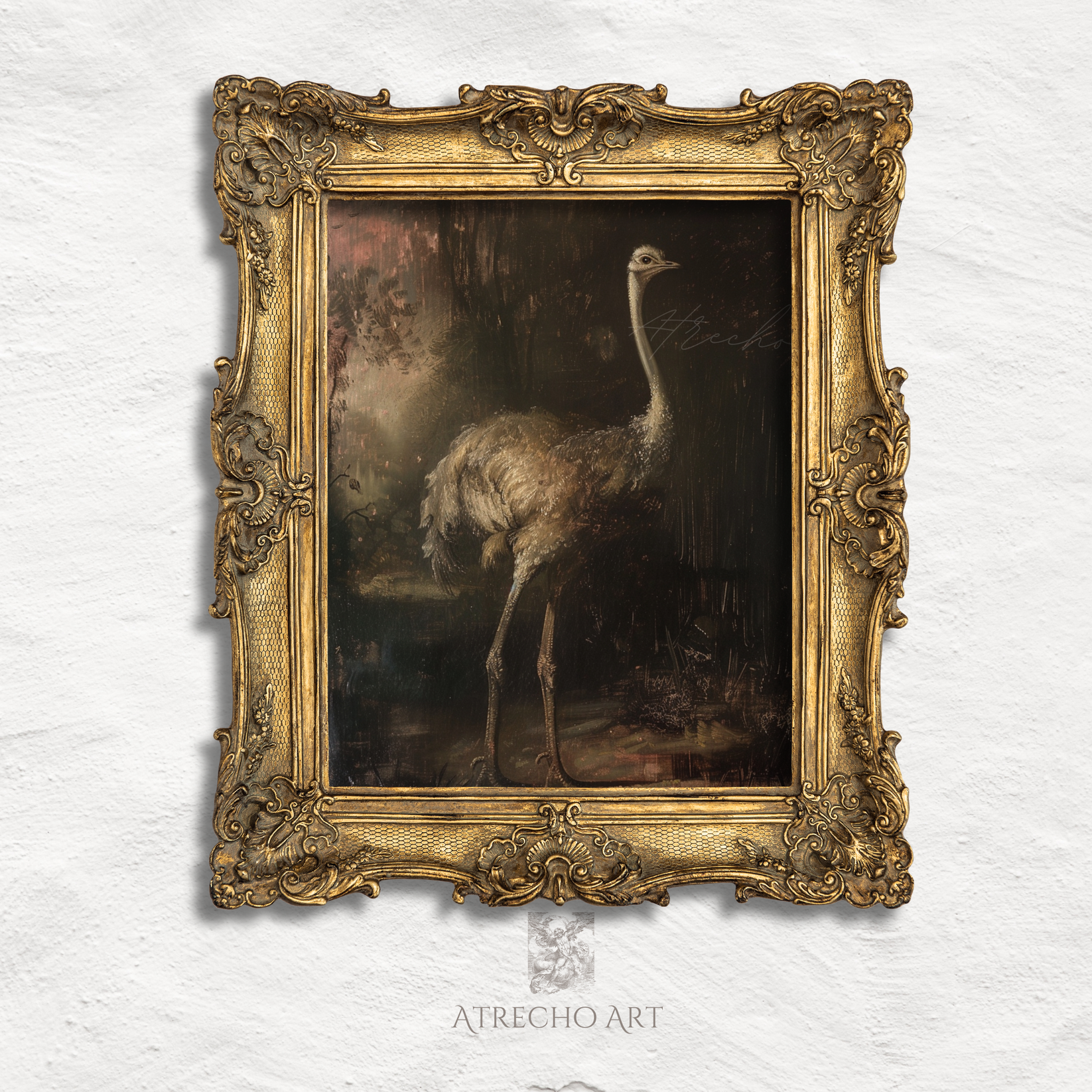OSTRICH | Printed Artwork | AN59 – Atrecho Art